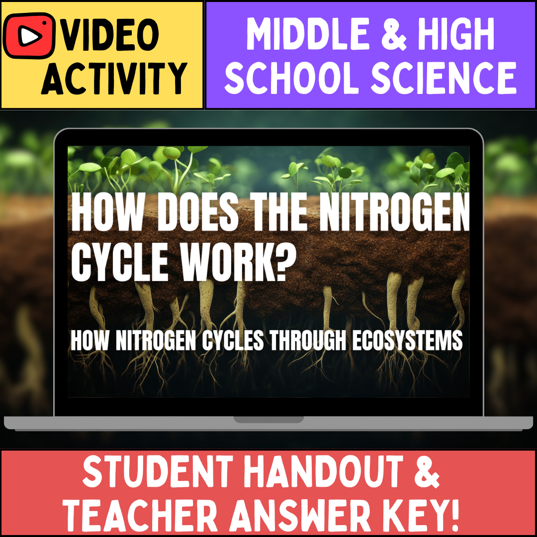The Nitrogen Cycle - FREE Video Worksheet - High School Biology & Envi ...