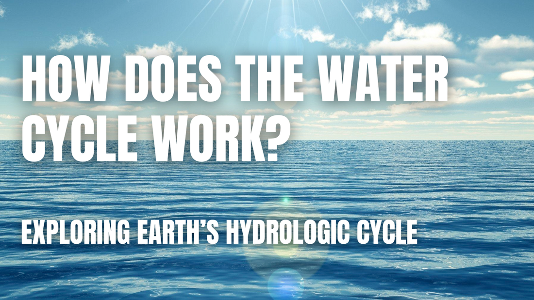 FREE Water Cycle Video & Worksheet | Middle School Science – Sciesmic