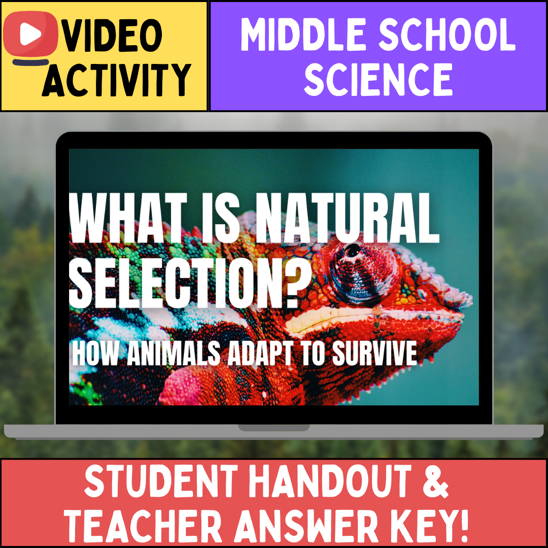 What is Natural Selection? | Middle School Life Science – Sciesmic